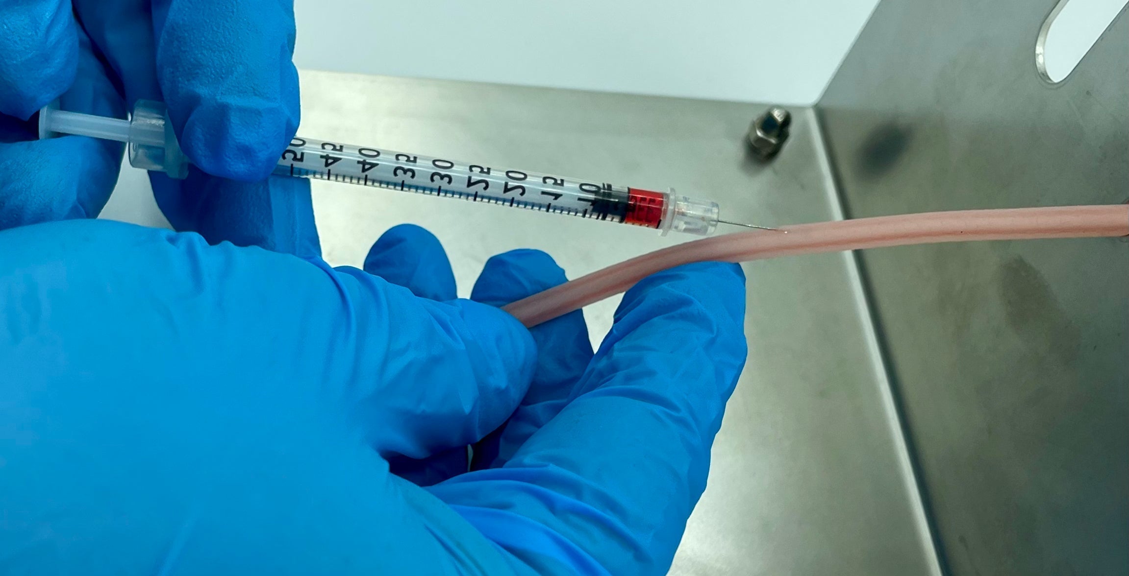 Mouse Tail Model Release In Collaboration With The University Of Zuric ...
